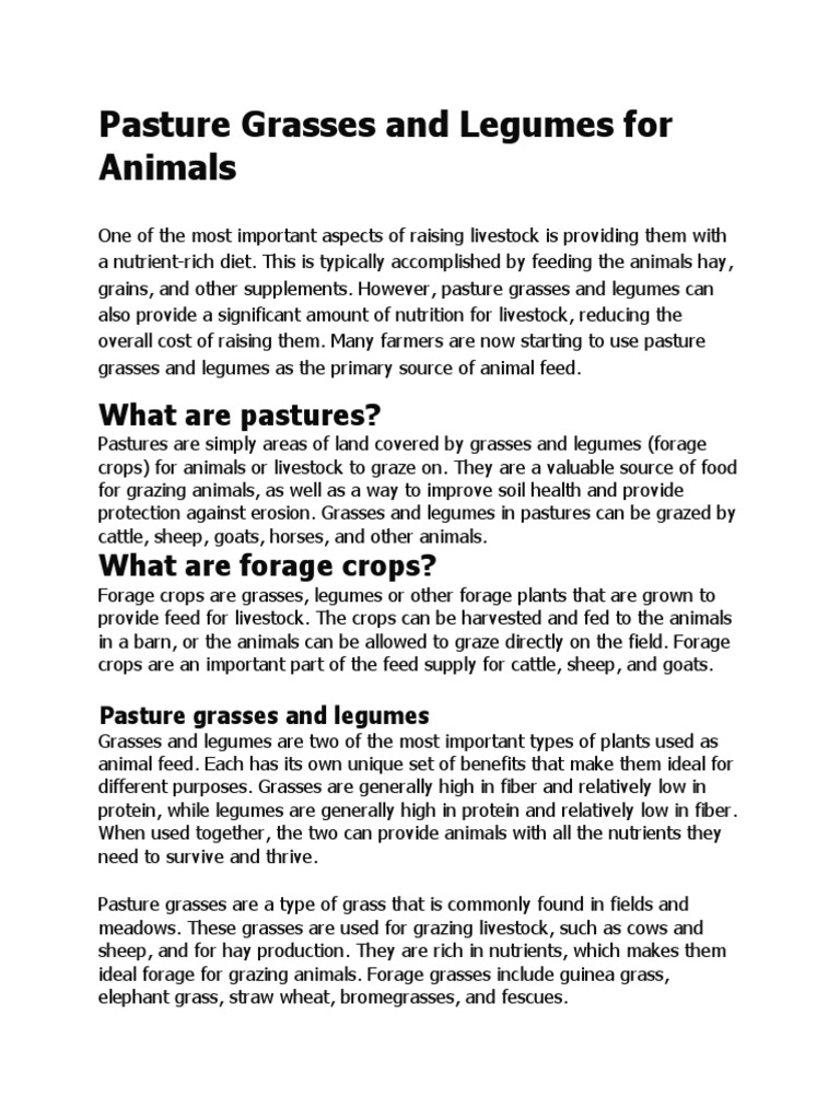 Pasture Grasses and Legumes For Animals (Description of Different ...