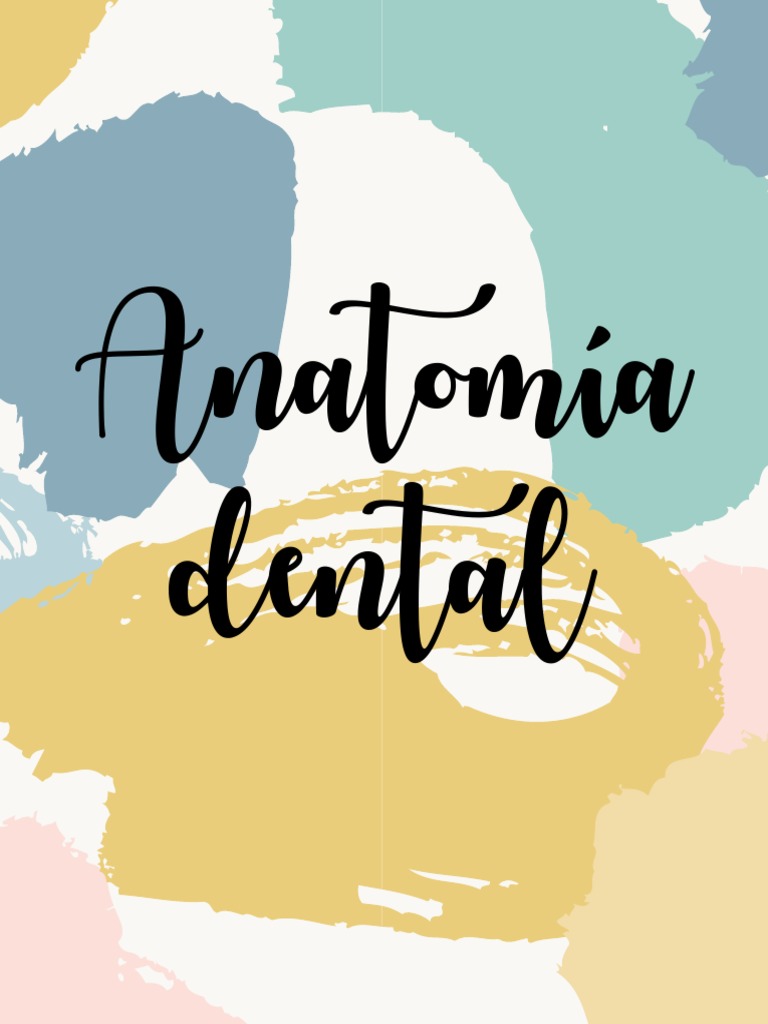 Anatomía Dental | PDF | Ramas de Odontología | Diente
