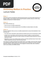 Goat Skeletal Anatomy Overview | PDF | Vertebra | Vertebral Column