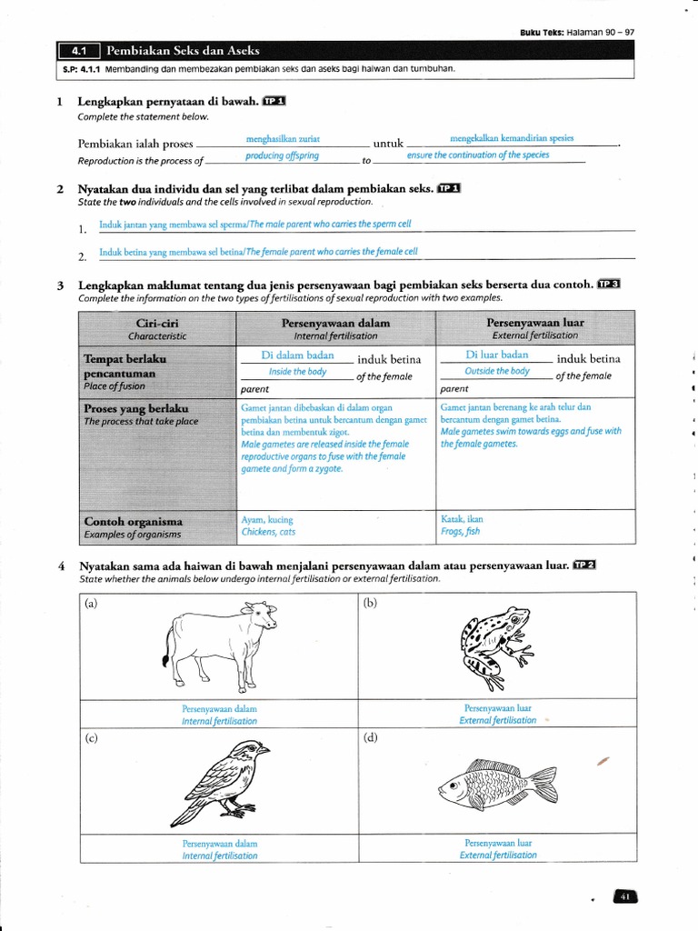 Chapter 4 Reproduction | PDF