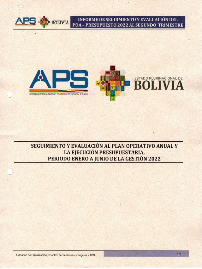 APS ,, Y: Bolivia | PDF | Presupuesto | Sector privado