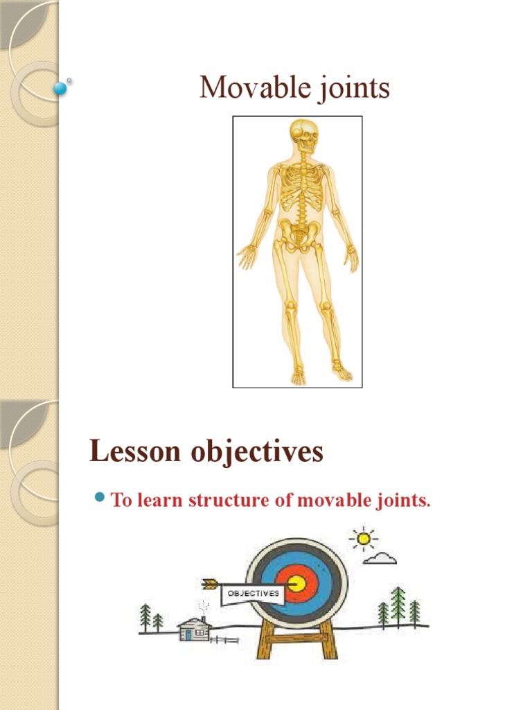 Types and Structure of Movable Joints | PDF