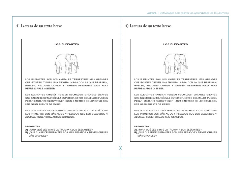 Actividades de lectura sobre elefantes | PDF