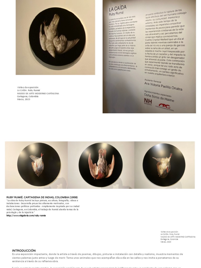 La Caída Ruby Rumié - ArTe - LMVH | PDF