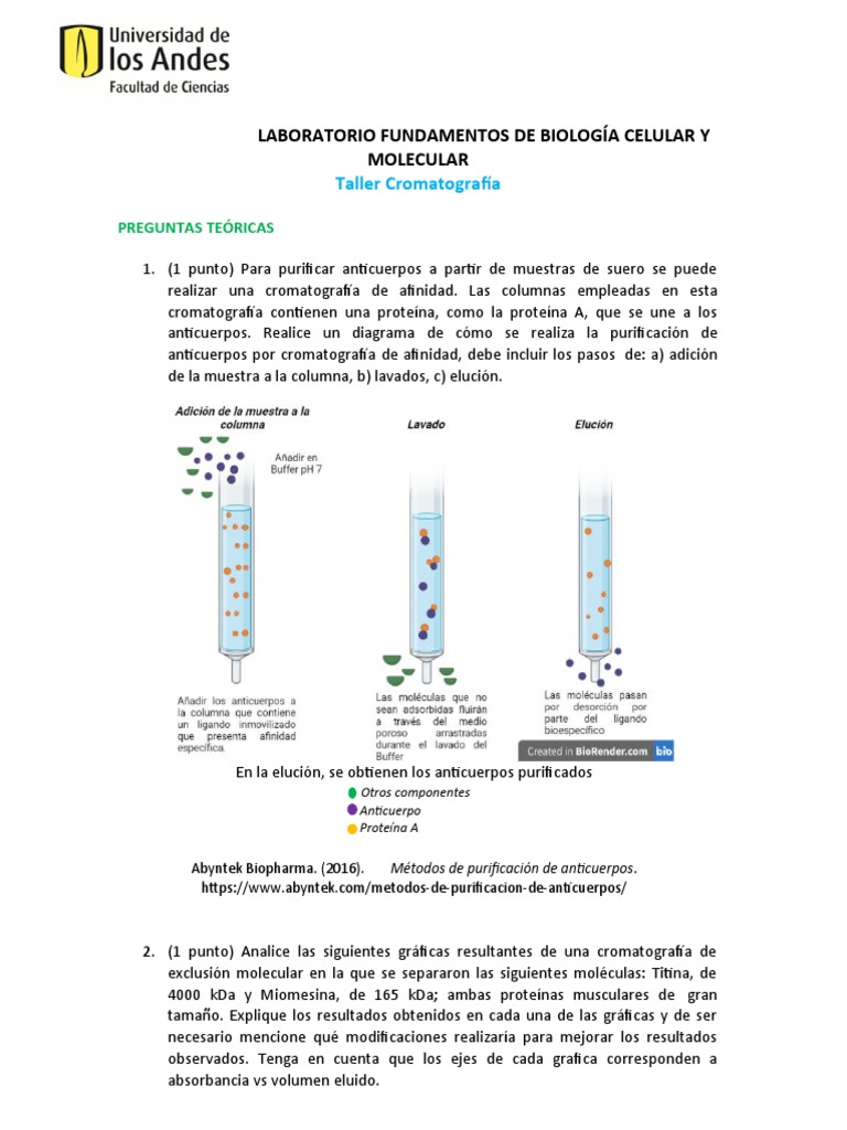Cromatografía de Exclusión Molecular | PDF | Proteínas | Elución