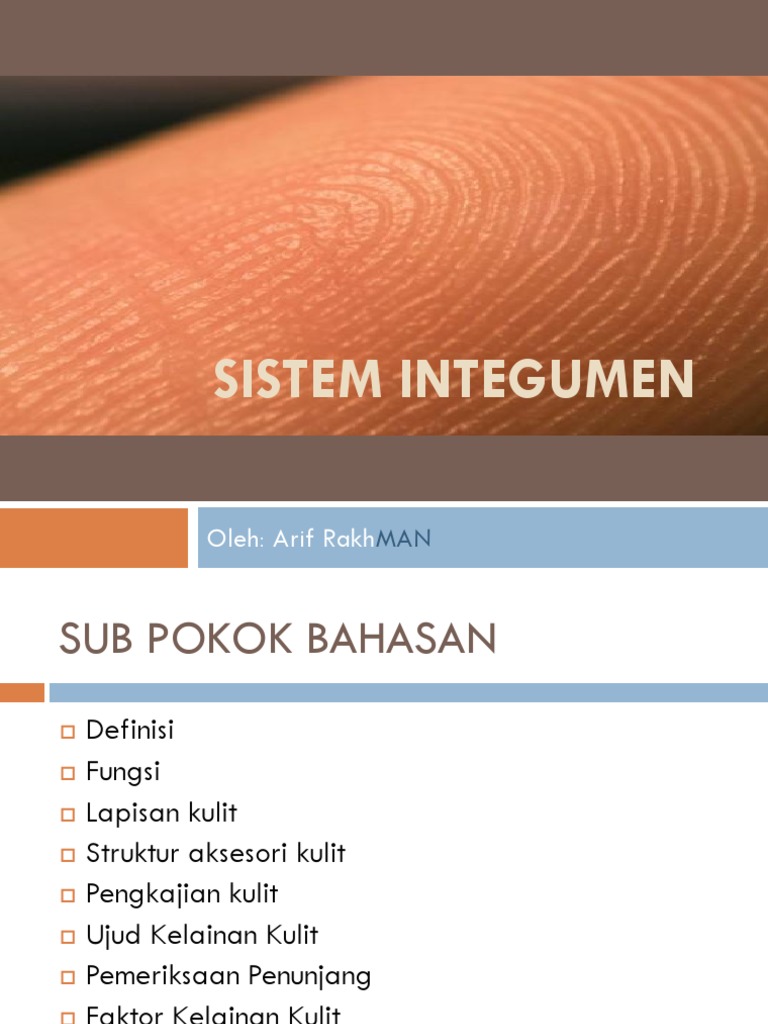 Sistem Integumen | PDF