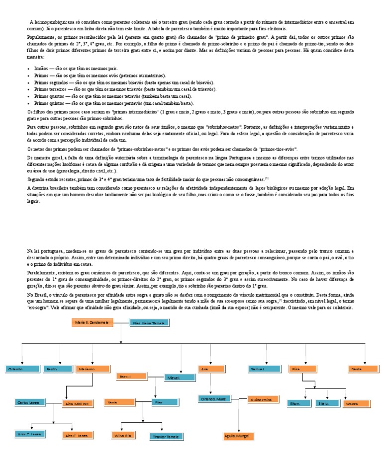 Definições e variações do significado de parentesco em diferentes ...