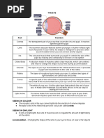 Grade 12 Life Science The Eye | PDF | Eye | Myopia