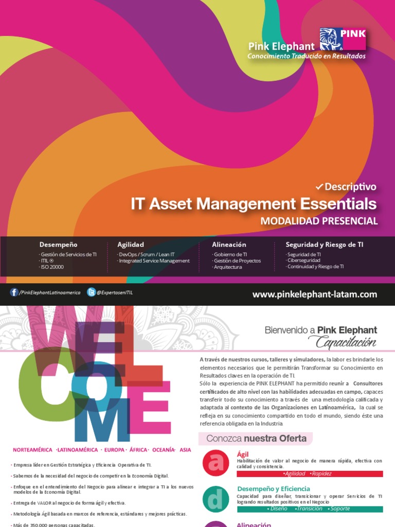 It Asset Management Essentials | PDF