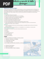 CISTOCLISIS | PDF | Vejiga urinaria | Orina