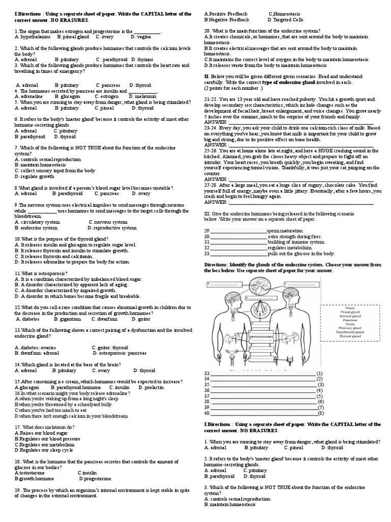 GRADE 10 QUIZ Endocrine | PDF | Endocrine System | Hormone