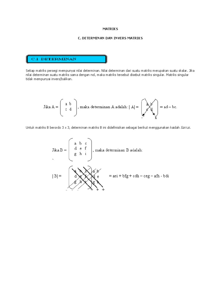 MATRIKS | PDF