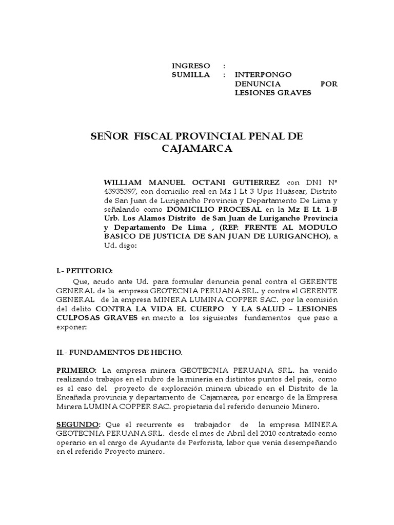 DENUNCIA | PDF