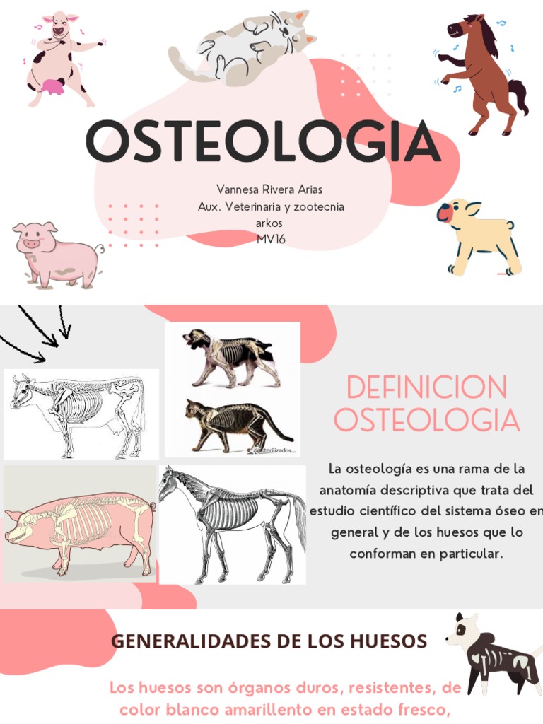 OSTEOLOGIA | PDF | Hueso | Esqueleto