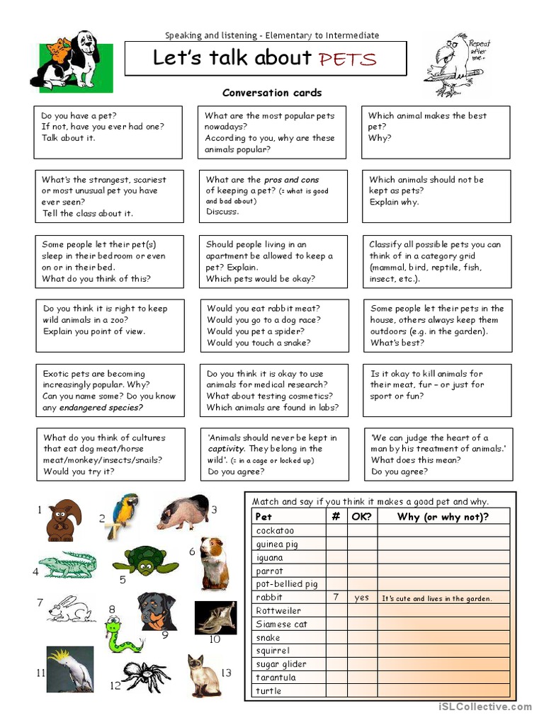 Let's Talk About Pets | PDF | Pet | Organisms