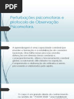 Protocolo de Observação Psicomotora POP-TT | PDF | Desenho