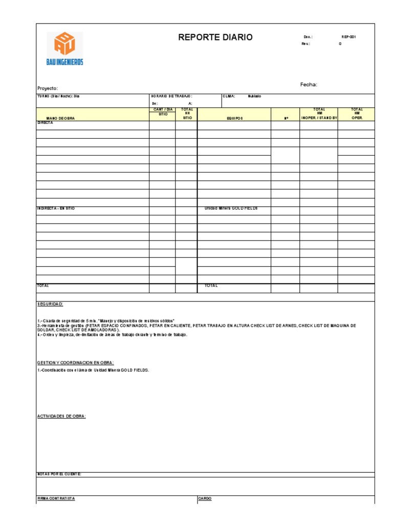 Reporte Dìario. EDITABLE | PDF