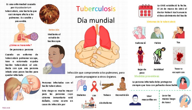 Tuberculosis, Infografía | Descargar gratis PDF | Tuberculosis | Medicina