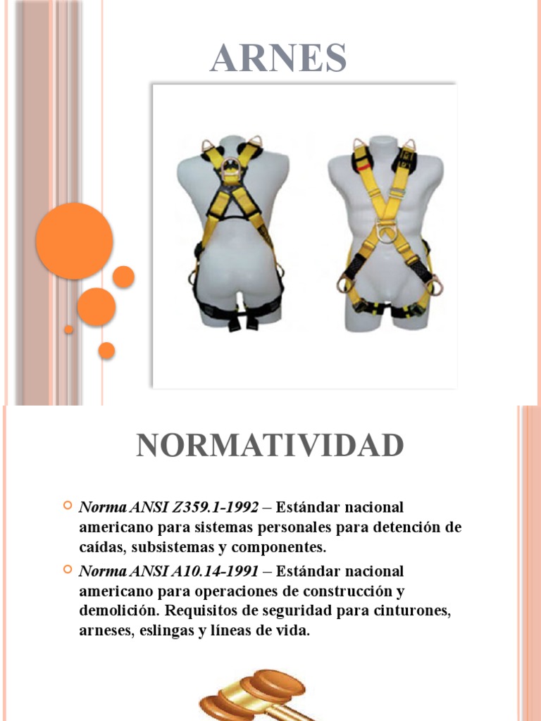 Tipos de ARNES | PDF