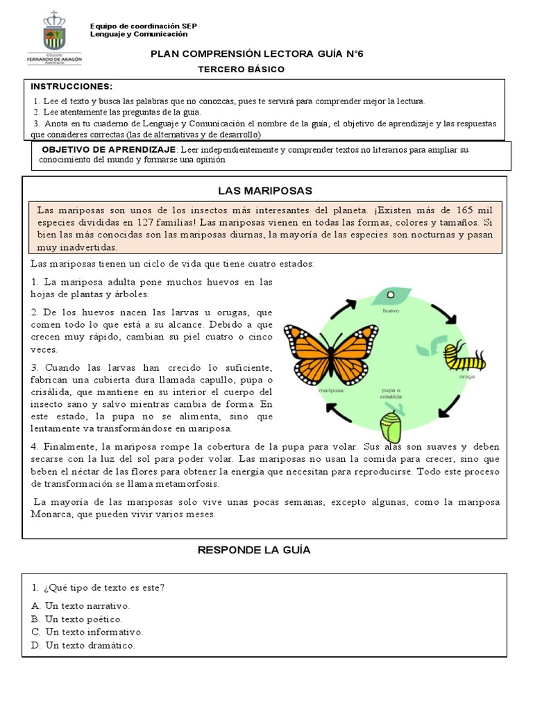 Guía de comprensión lectora sobre el ciclo de vida y características de las mariposas | PDF ...