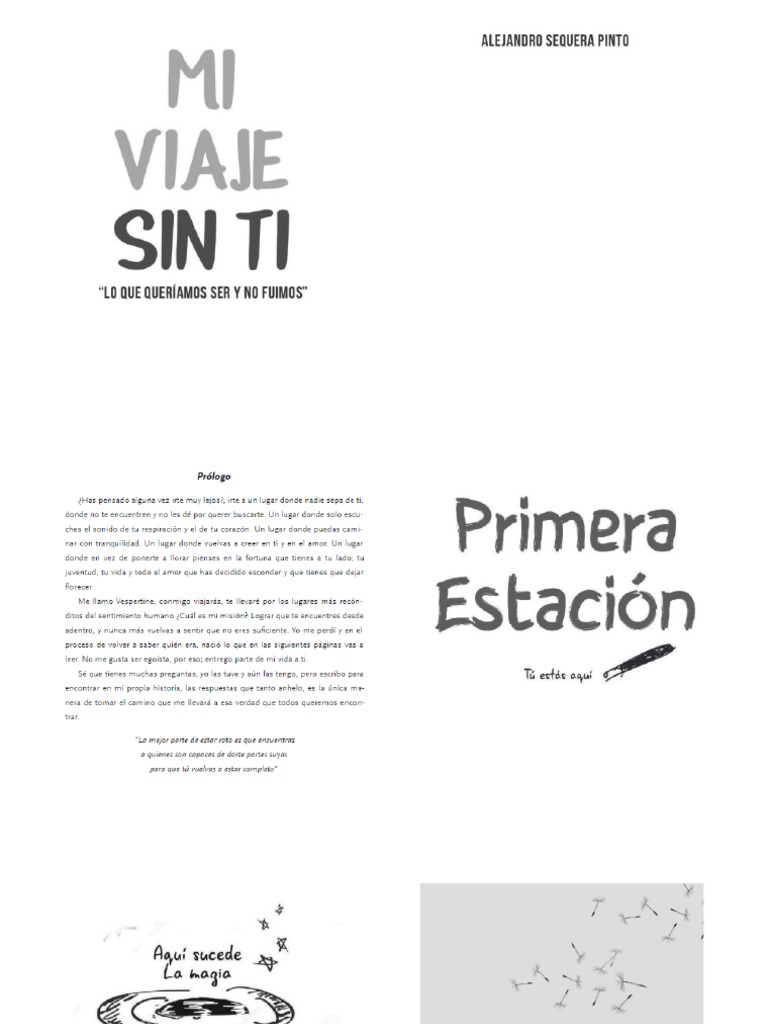 Mi Viaje Sin Ti - Alejandro Seguera Pinto | PDF