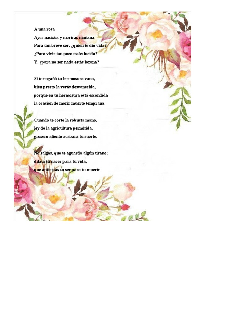 Análisis del poema "A una rosa" | PDF