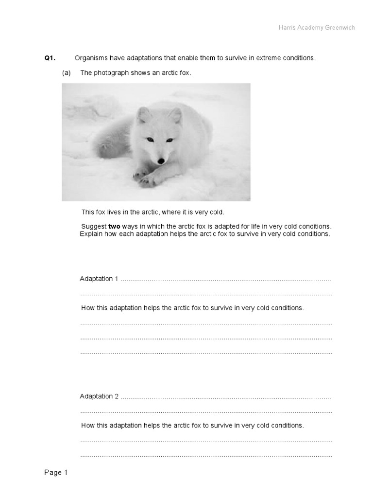 Adaptations Arctic Fox and Antelope | PDF | Fur | Fox