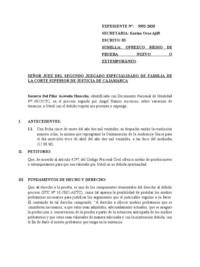 Ofrezco Medios Probatorios Extemporaneos | PDF | Judicaturas | Gobierno