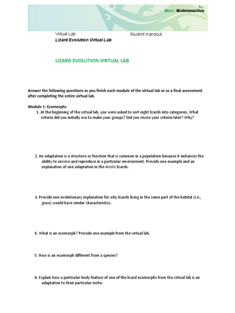 Lizard Evolution Virtual Lab | Download Free PDF | Evolution ...