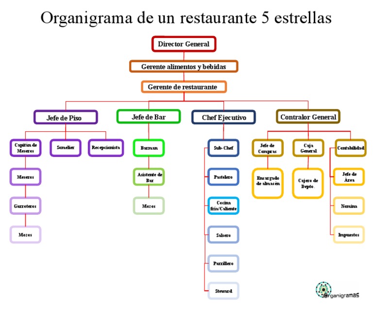 Organigrama de Un Restaurante 5 Estrellas: Director General Gerente ...