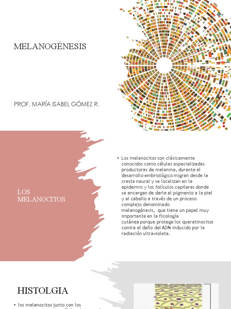 Melanogénesis | PDF