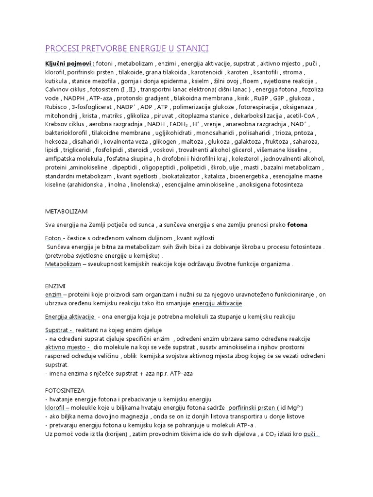 Procesi Pretvorbe Energije U Stanici | PDF