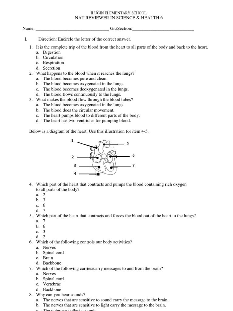 NAT Reviewer in Science 6 | PDF | Plate Tectonics | Stars