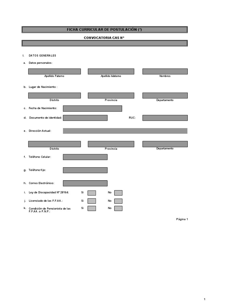 FICHA CURRICULAR Final | PDF