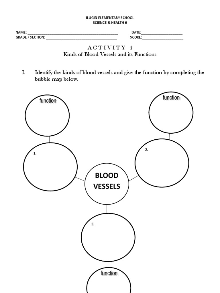 Science Activity 4 | PDF | Cardiovascular System | Medical Specialties
