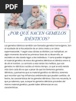 Estructura y partes del mito | PDF