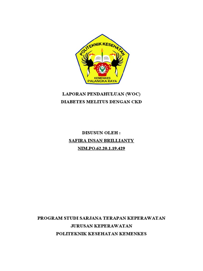 LP Woc - Ruang HD - Safira - 2023 2 | PDF
