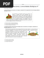 Los Valores Folleto | PDF | Amor | Tolerancia