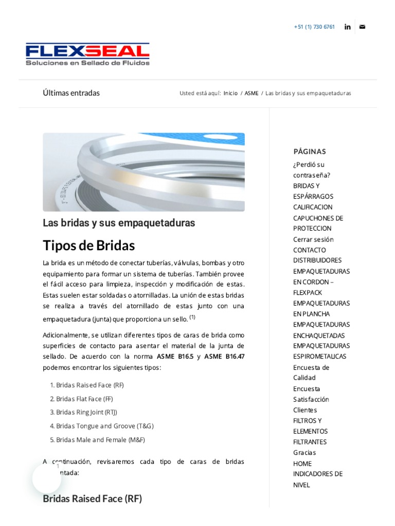 Tipos de Bridas: Las Bridas y Sus Empaquetaduras | PDF | Materiales | Ingeniería mecánica