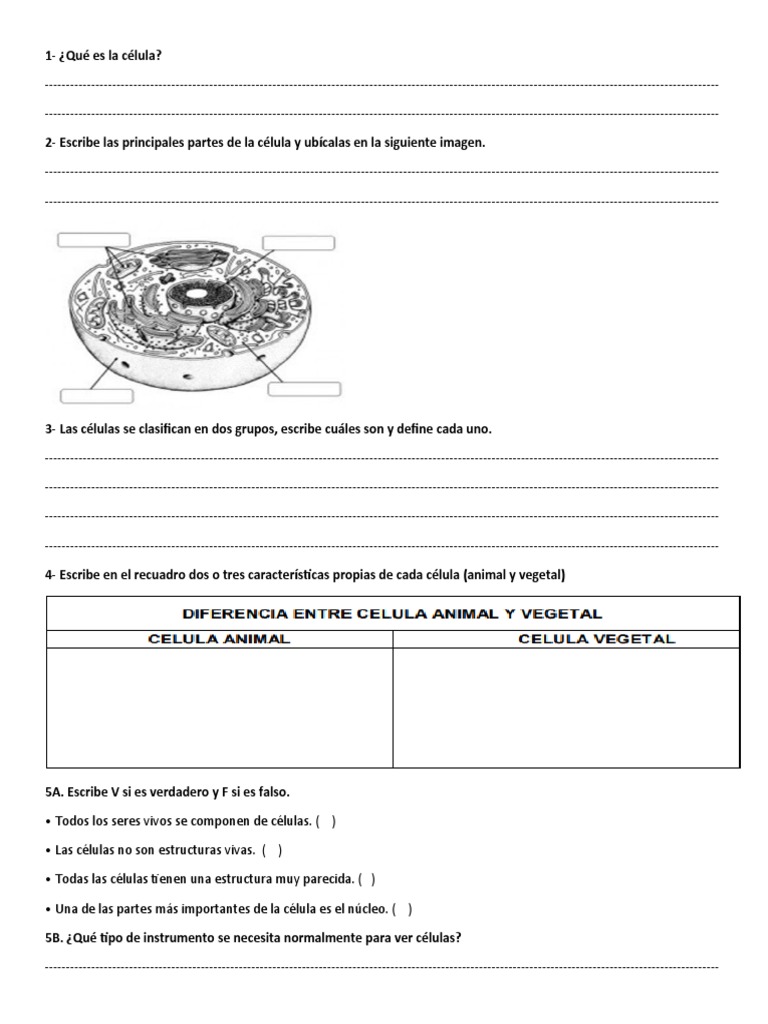 Actividades sobre la Célula para Estudiantes | PDF