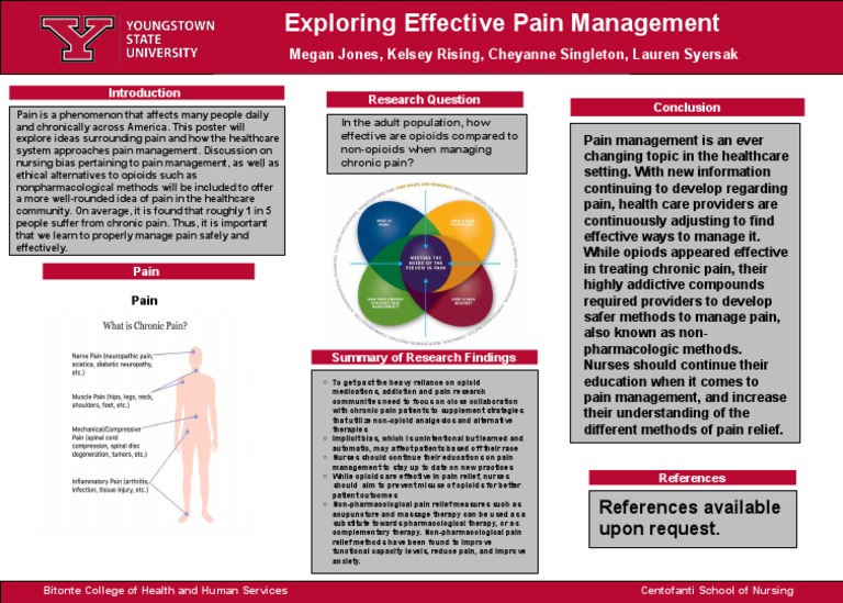 Pain Management Literature Review Poster by Megan Jones Kelsey Rising ...
