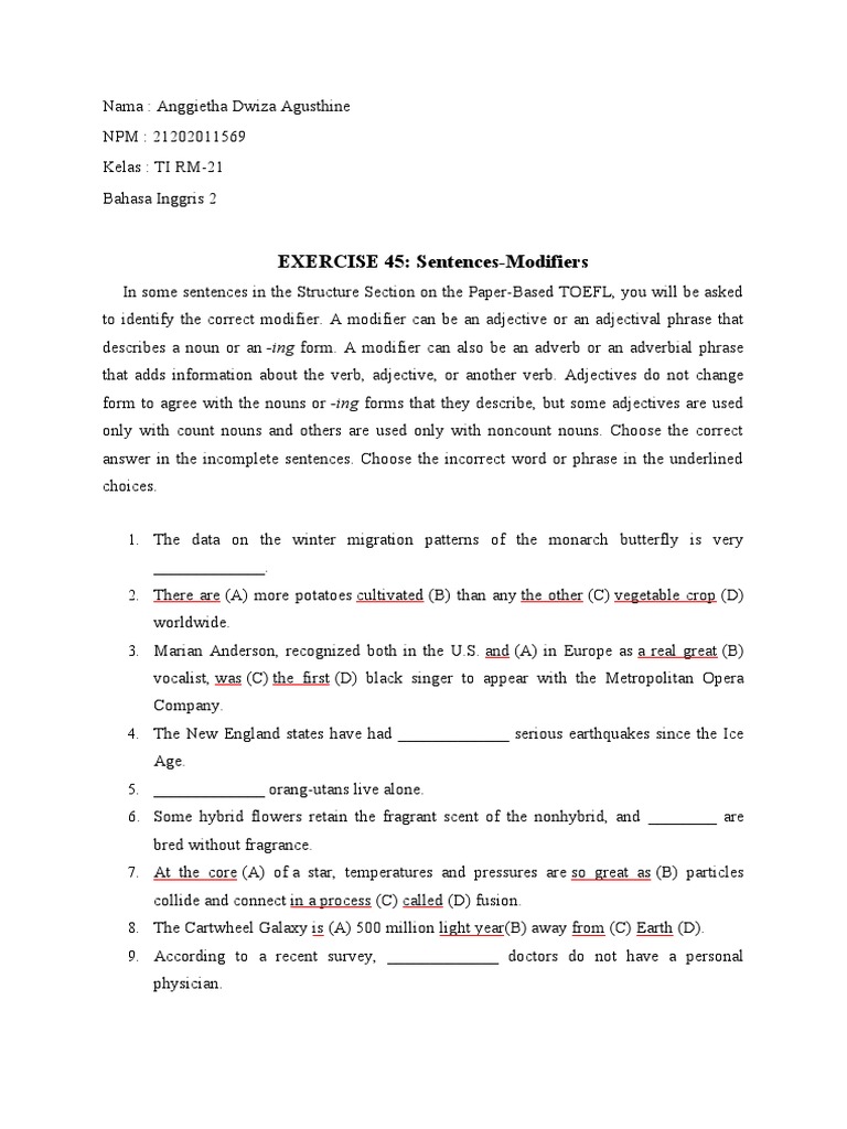 EXERCISE 45: Sentences-Modifiers | PDF