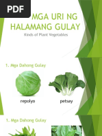 Halamang Dahon | PDF