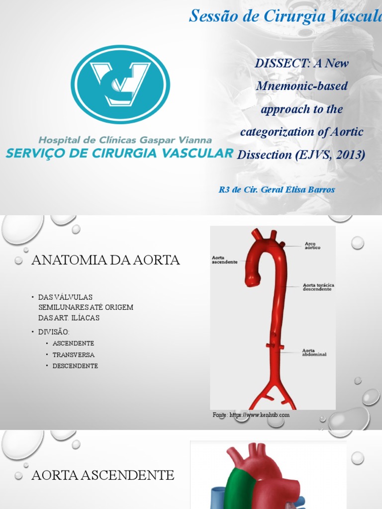 Anatomia Aorta | PDF