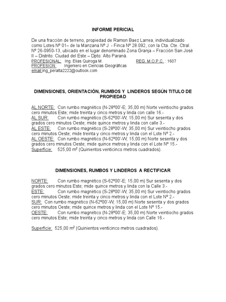 Informe Pericial Ramon Baez Larrea | PDF