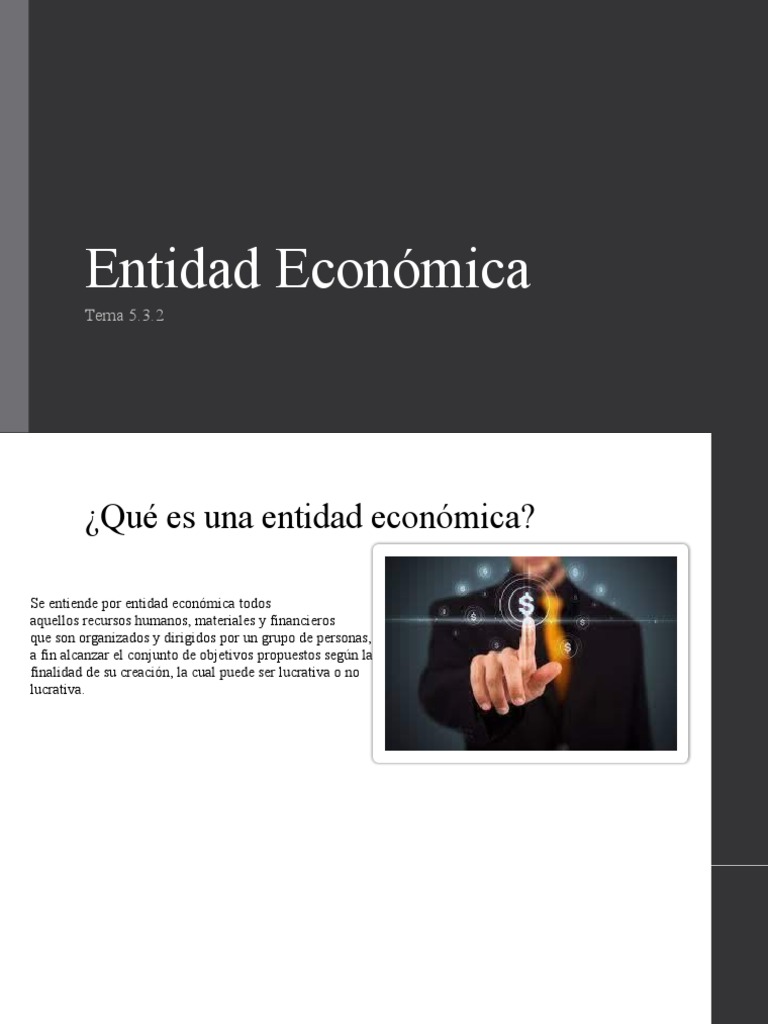 Entidad Económica | PDF | Gestión de recursos humanos | Sociedad