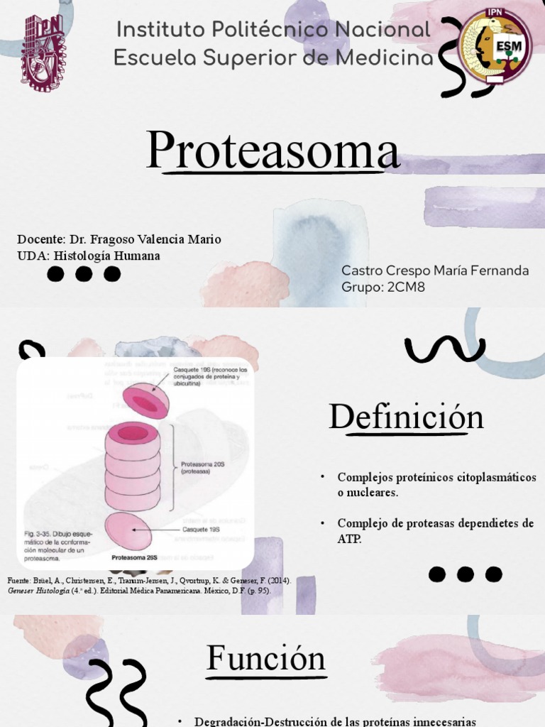 Proteasoma - Fer Castro | PDF | Ubiquitina | Biología Molecular