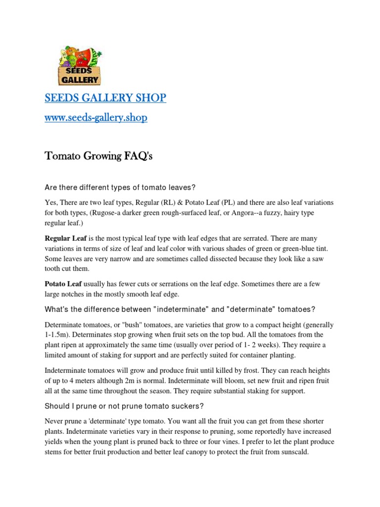 Tomato Growing FAQs | PDF | Tomato | Heirloom Plant