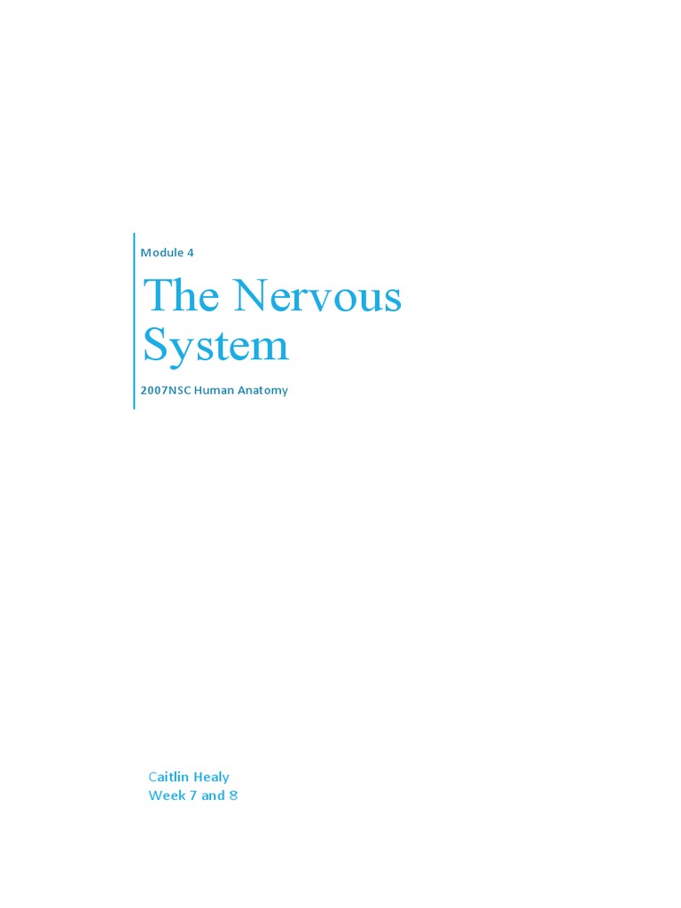 The Nervous System - Module 4 | PDF | Central Nervous System ...