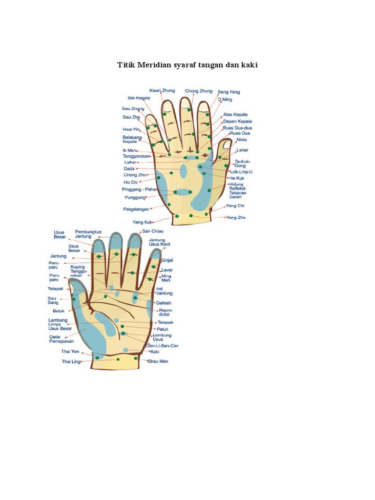 Titik Meridian syaraf tangan dan kaki | PDF